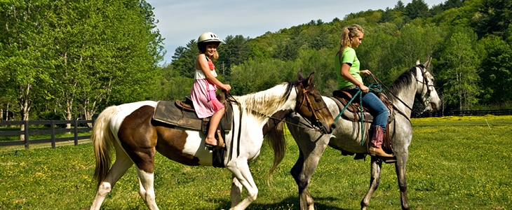Do -52% popust na jahanje mirnih konjev pod vodstvom iz - Kuponko.si