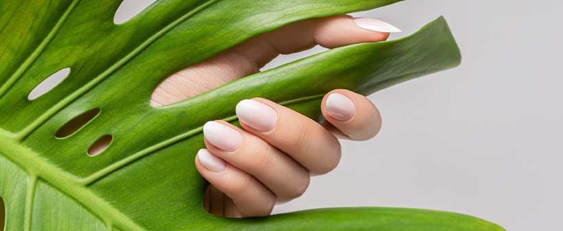 Salon Elitte: Spa kraljeva nega rok, parafinska kopel - Kuponko.si